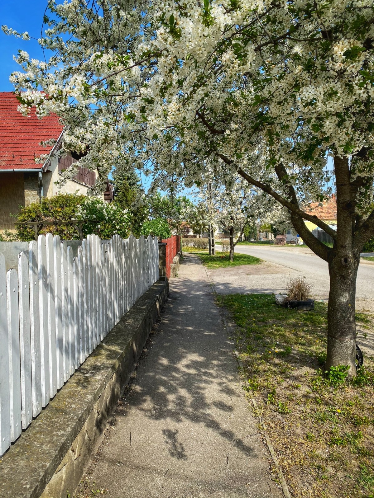 This is Pápa. – Home Base Bri