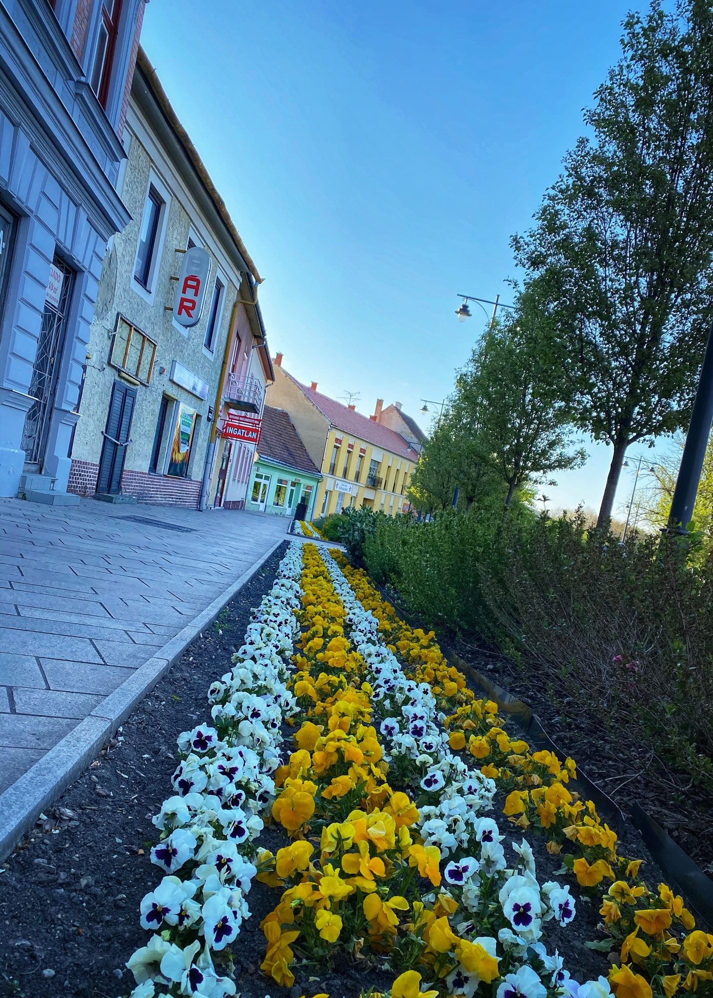 This is Pápa. – Home Base Bri